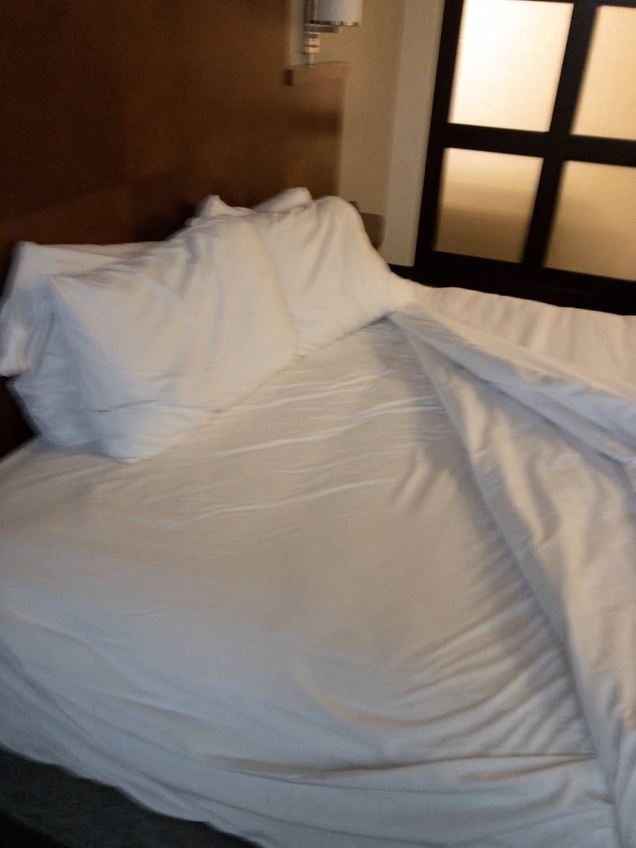 Someone Slept in My Room and It Wasn’t Me Someone Slept in My Room and It Wasn’t Me