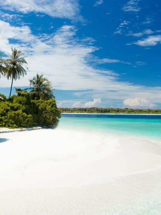 NoMad Las Vegas Pool: See the Best Secret Hotel Pool in Vegas